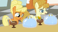 Aunt and Uncle Orange/Gallery | My Little Pony Friendship is Magic Wiki ...