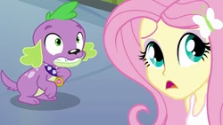 Fluttershy Confused