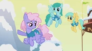 Sprinkle Medley | My Little Pony Friendship is Magic Wiki | Fandom