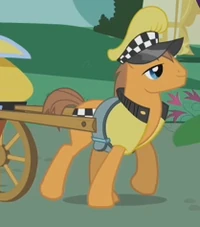 Rivet | My Little Pony Friendship is Magic Wiki | Fandom