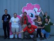 Brony | My Little Pony: La Magia de la Amistad Wiki | Fandom