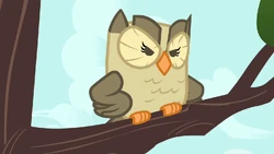 My Little Pony Friendship Is Magic Owlicious Preview: My Little Pony: