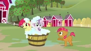 One Bad Apple | My Little Pony Friendship is Magic Wiki | Fandom