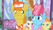 Baby Cakes | My Little Pony Friendship is Magic Wiki | Fandom
