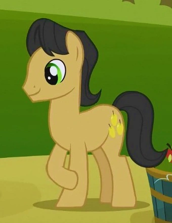 Ziemskie kucyki | My Little Pony Wiki | Fandom