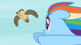 Owlowiscious | My Little Pony: La Magia de la Amistad Wiki | Fandom
