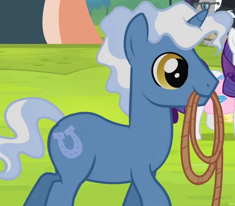 Royal Pin My Little Pony Friendship Is Magic Wiki 演员