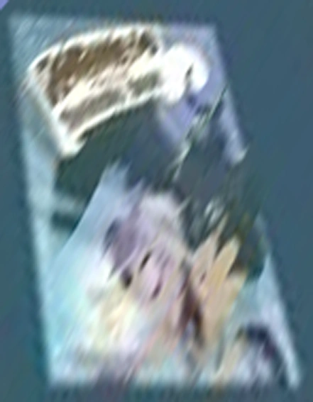 User blog:Kinrah/Daring-Do and the Griffon's Goblet | My Little Pony ...