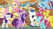 Mr. and Mrs. Cake | My Little Pony Friendship is Magic Wiki | Fandom