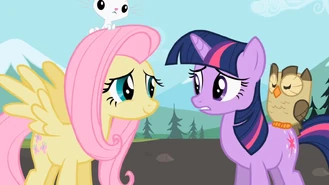 Angel/Galería | My Little Pony: La Magia de la Amistad Wiki | Fandom