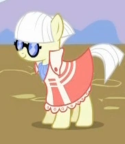 Picture Perfect | My Little Pony Wiki | Fandom