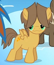Pengganggu Laki-laki | My Little Pony Wikia | Fandom