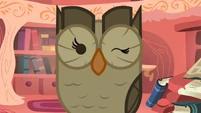 Owlowiscious | My Little Pony: La Magia de la Amistad Wiki | Fandom