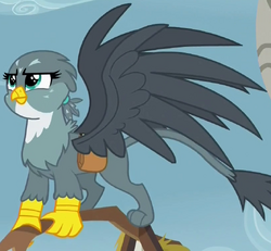 Gabby | My Little Pony Friendship is Magic Wiki | Fandom