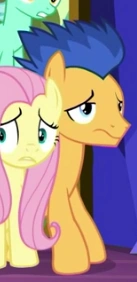 Flash Sentry (EG) | My Little Pony Friendship is Magic Wiki | Fandom