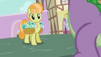 Junebug/Gallery | My Little Pony Friendship is Magic Wiki | Fandom