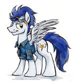 Soarin | My Little Pony Fan Labor Wiki | Fandom