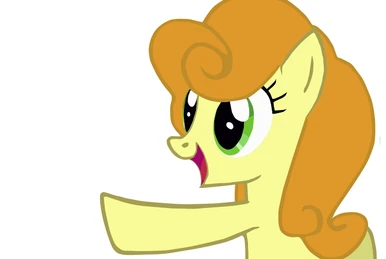 Woodentoaster Wiki