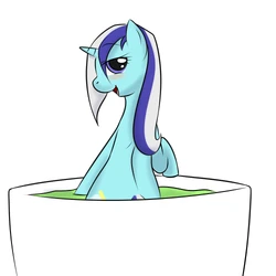 Colgate Pony Brushie