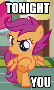 Reaction images | My Little Pony Fan Labor Wiki | Fandom