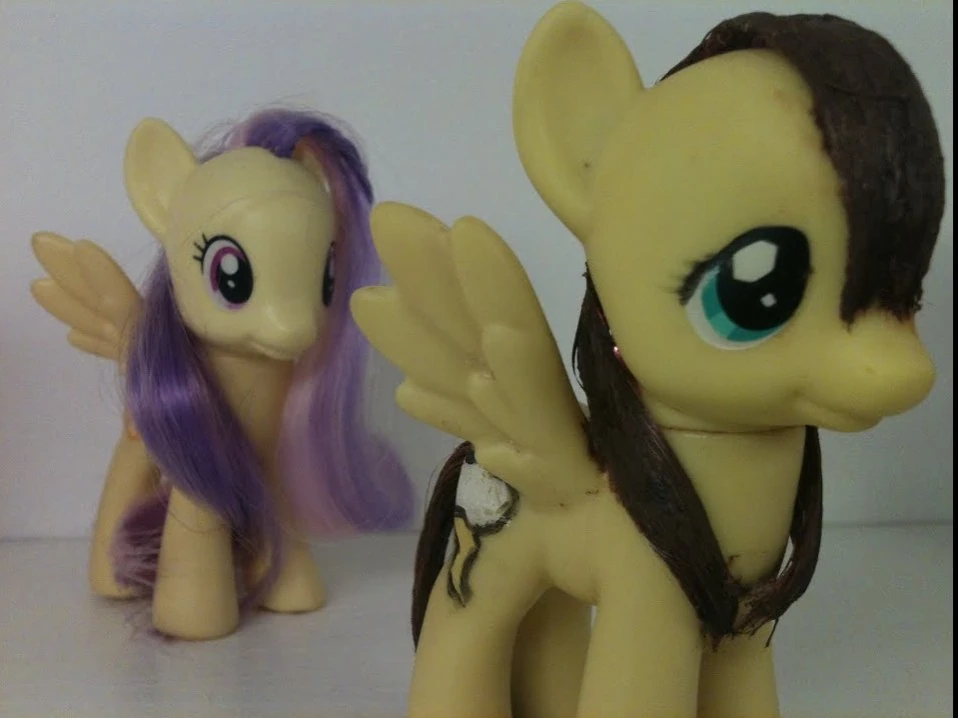 The New Colt | Mlpstopmotion Wiki | Fandom