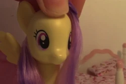 Sunny Rays (The Other Girls) | Mlpstopmotion Wiki | Fandom
