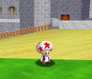 Star Toad | MarioMario54321 Wiki | Fandom