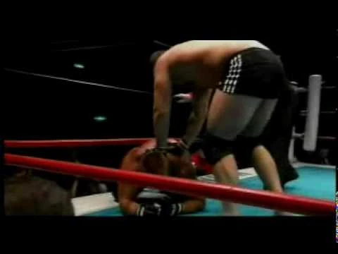 Fedor Emelianenko vs. Chris Haseman | MMABouts Wiki | Fandom