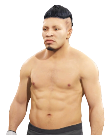 Tok Lee | MMAworld Wiki | Fandom