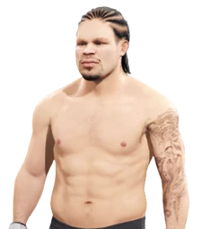 Theo Torres | MMAworld Wiki | Fandom