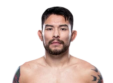 Ray Borg | MMAworld Wiki | Fandom