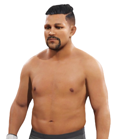 Thomas Hayes | MMAworld Wiki | Fandom