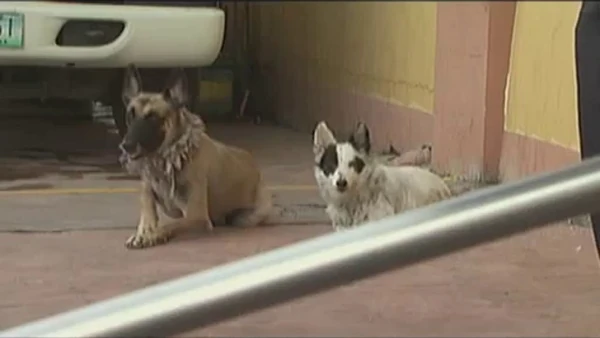 Aso | MMK Wiki | Fandom