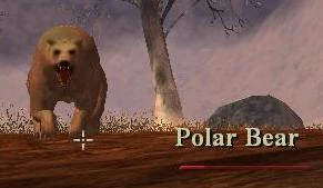Polar bear | MMO Naturalist Wiki | Fandom