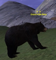 Black Bear | MMO Naturalist Wiki | Fandom
