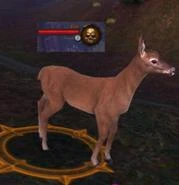 Red deer | MMO Naturalist Wiki | Fandom