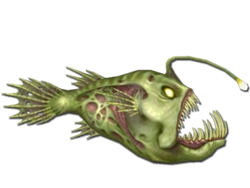 Anglerfish | MMO Naturalist Wiki | Fandom