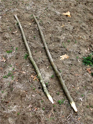 Sharpened Stick | Massive Multiplayer Online Dream World Wiki | Fandom