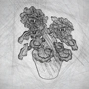 Approved Plants List | Mischief Managed Wiki | Fandom