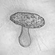 Approved Plants List | Mischief Managed Wiki | Fandom