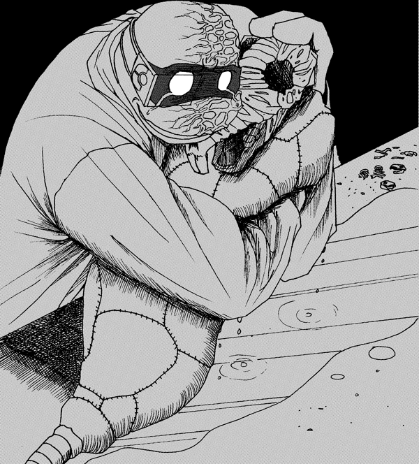 Yamata-no-Orochi | Mutant Ninja Turtles Gaiden Wiki | Fandom