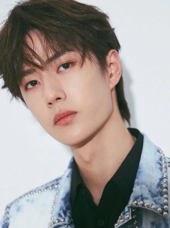 Wang Yi Bo | Mo Dao Zu Shi Wiki | Fandom