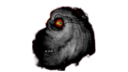 matthew | Moai's Nextbots Wiki | Fandom