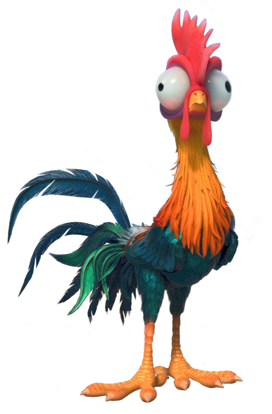 Heihei Gallery Moana Wikia Fandom