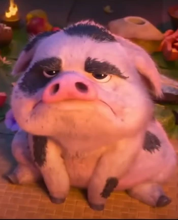 Bua | Moana Wikia | Fandom