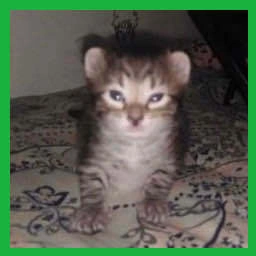 Katie | Mob ORGs Wiki | Fandom