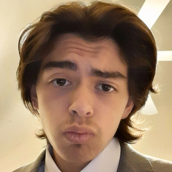 Roman | Mob ORGs Wiki | Fandom