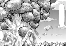 Divine Tree | Mob Psycho 100 Wiki | Fandom