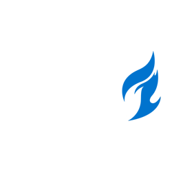 Dallas Fuel | Lev's MOBAGM Wiki | Fandom