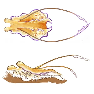 Ijad | Mobile Frame Zero: Rapid Attack Wiki | Fandom